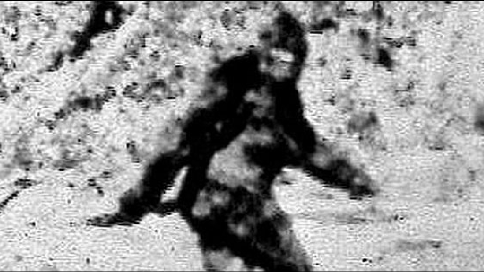 Bill would make Sasquatch "official cryptid" of Washington | KATU