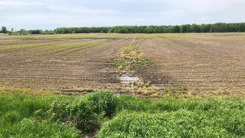 Wet farm fields delay Brown County planting season | WLUK