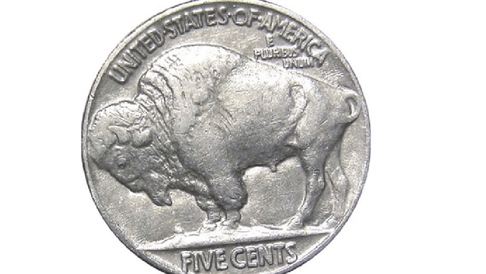 The Top Ten Most Famous Animal Coins | KATU