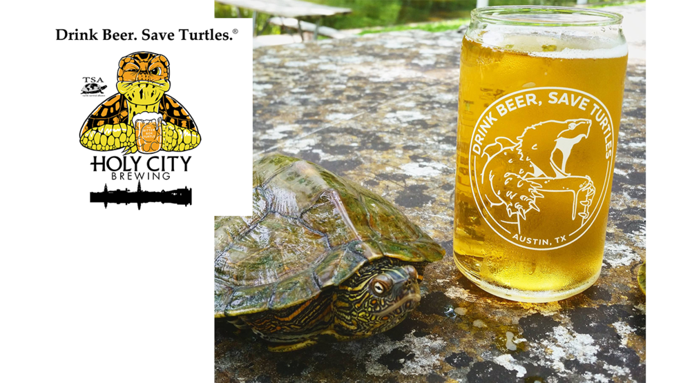 Drink Beer. Save Turtles | WCIV