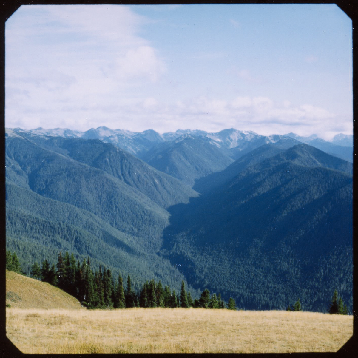 Photos: Sweeping views from atop Hurricane Ridge | Seattle Refined